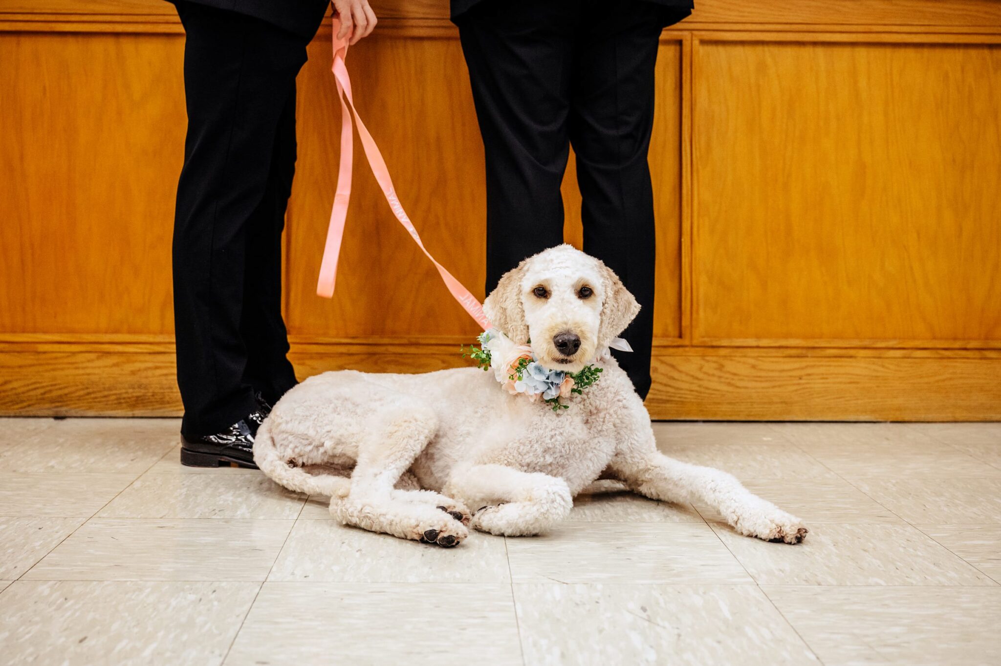 Boston City Hall Elopement - Katlyn Reilly Photography